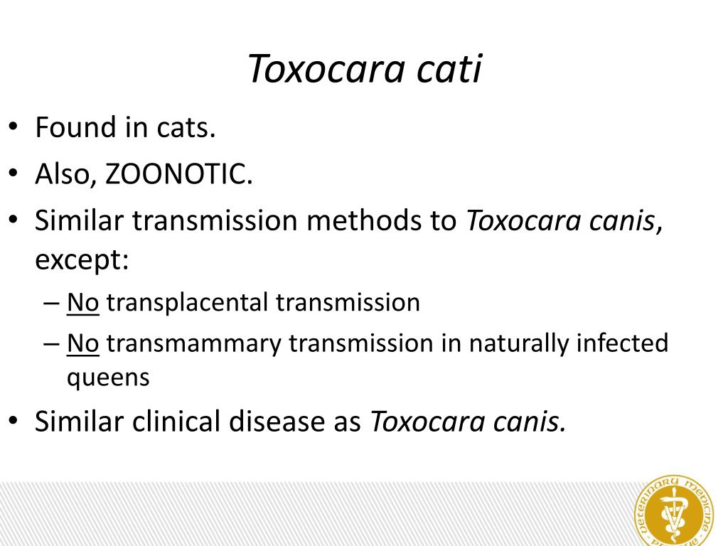 PPT - Joe Camp Professor of Veterinary Parasitology Purdue University ...