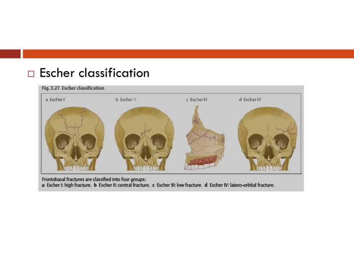 PPT - TRAUMA PowerPoint Presentation - ID:2392451