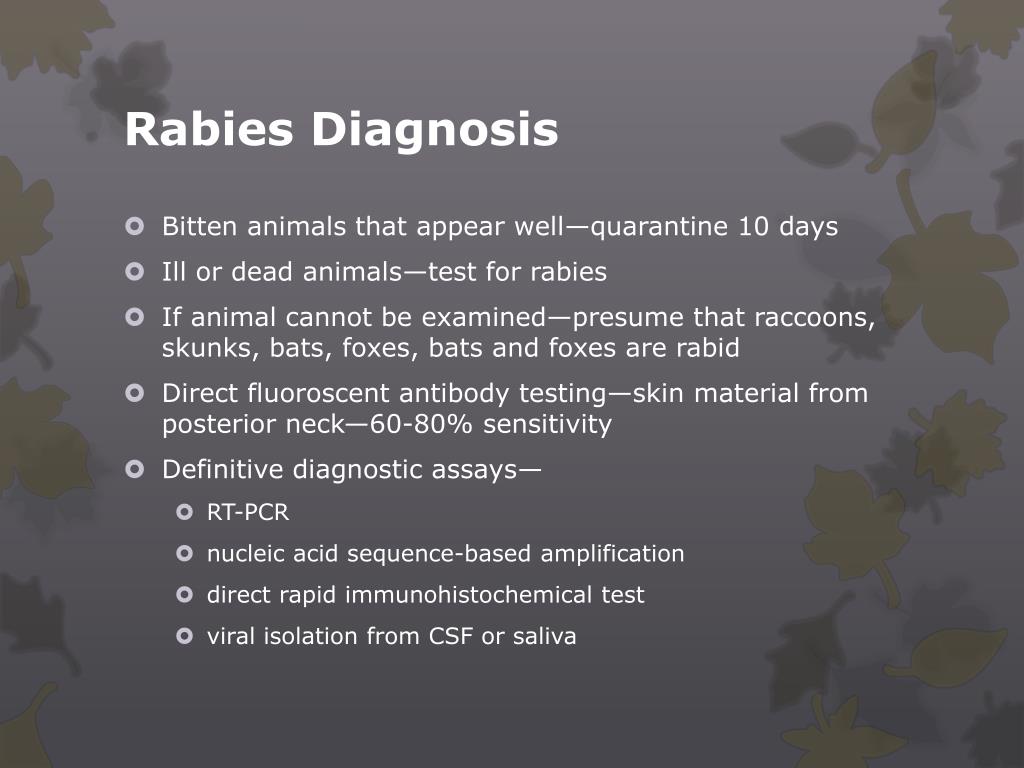 PPT - Clin Med II Infectious Disease PowerPoint Presentation, free ...