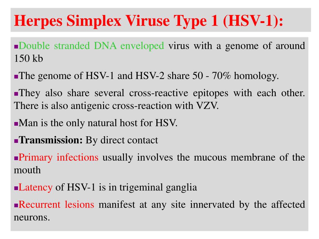 PPT - Viral Infections of the Respiratory Tract PowerPoint Presentation ...