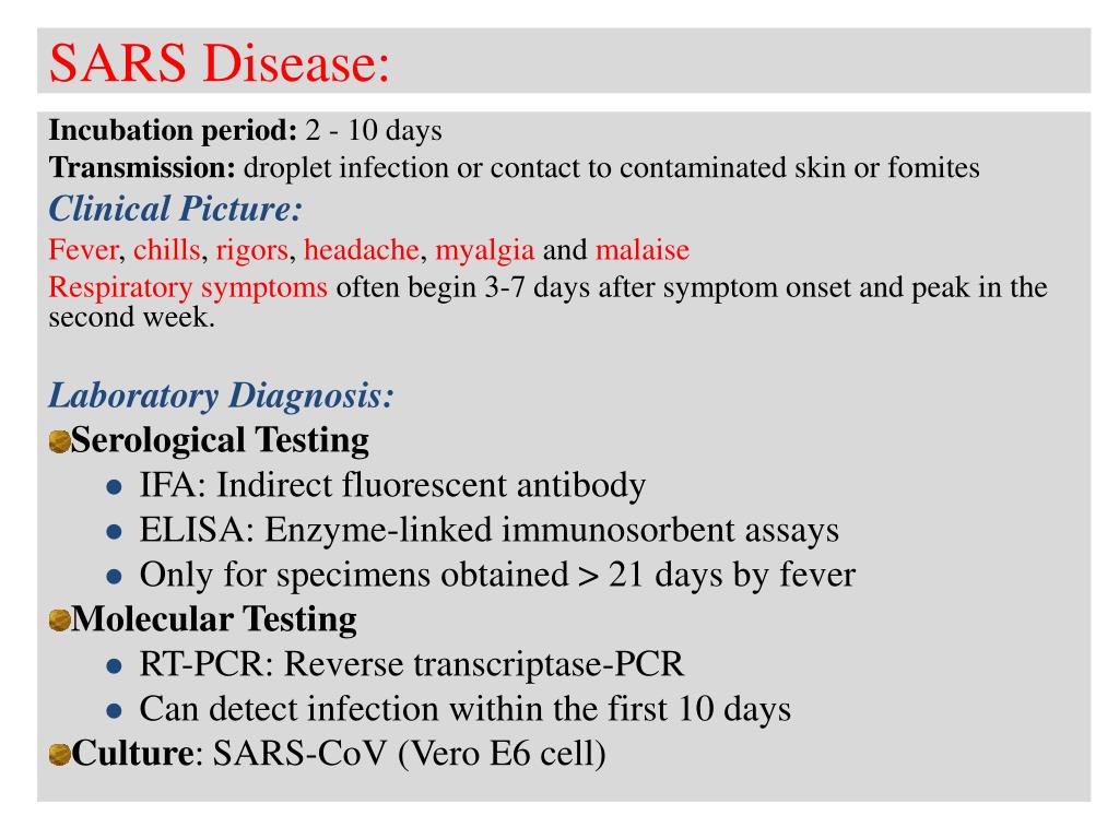 PPT - Viral Infections of the Respiratory Tract PowerPoint Presentation ...