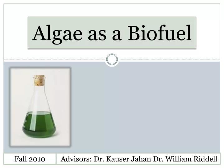 PPT - Algae as a Biofuel PowerPoint Presentation, free download - ID ...