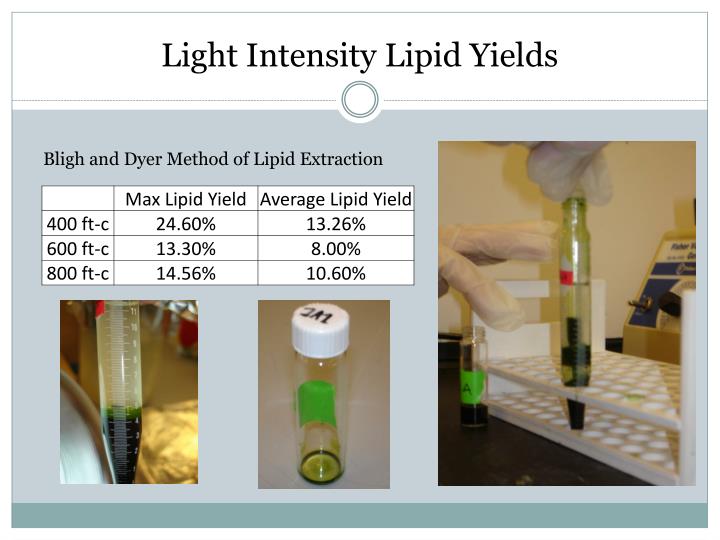 PPT - Algae as a Biofuel PowerPoint Presentation - ID:2392712