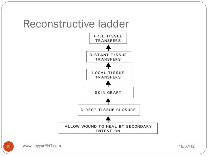 PPT - Grafts and Flaps in the Head and Neck PowerPoint Presentation ...