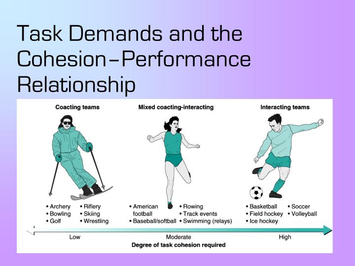 PPT - Group and Team Cohesion PowerPoint Presentation - ID:2392771