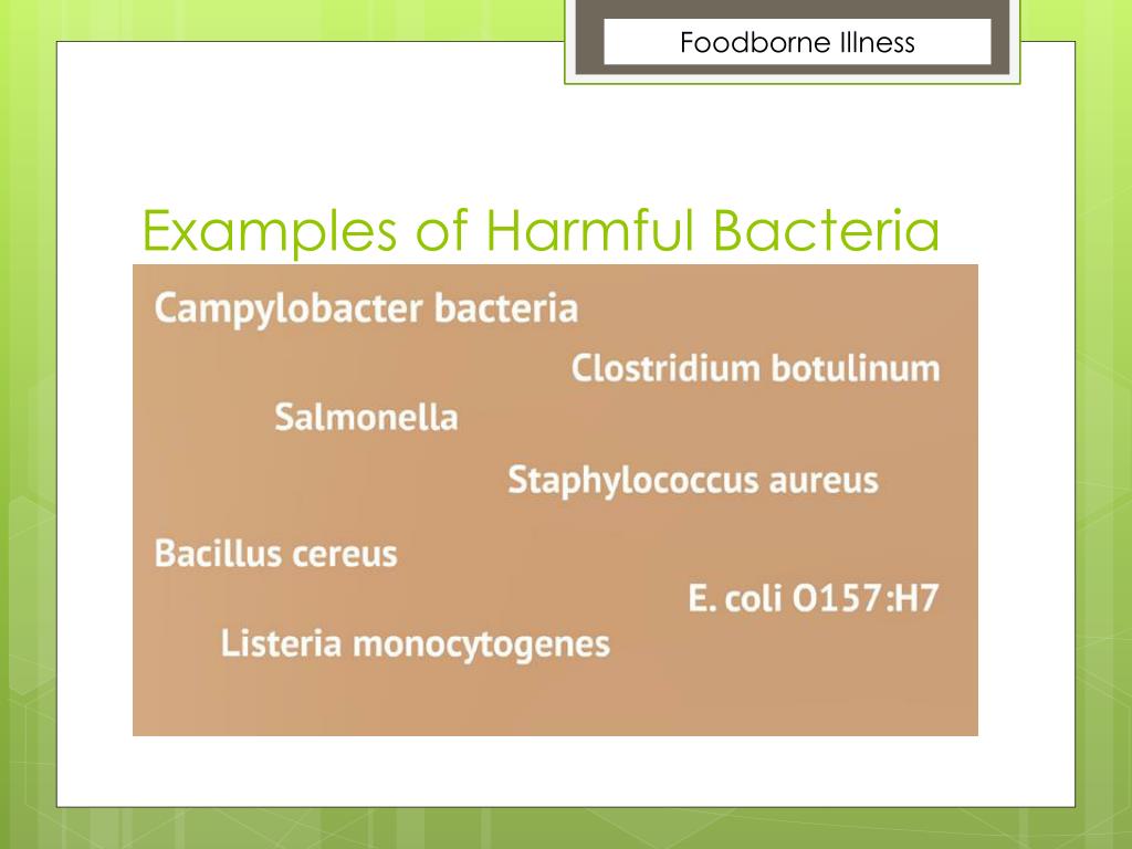 PPT - Food Safety 101 Foodborne Illness: Awareness and Prevention ...