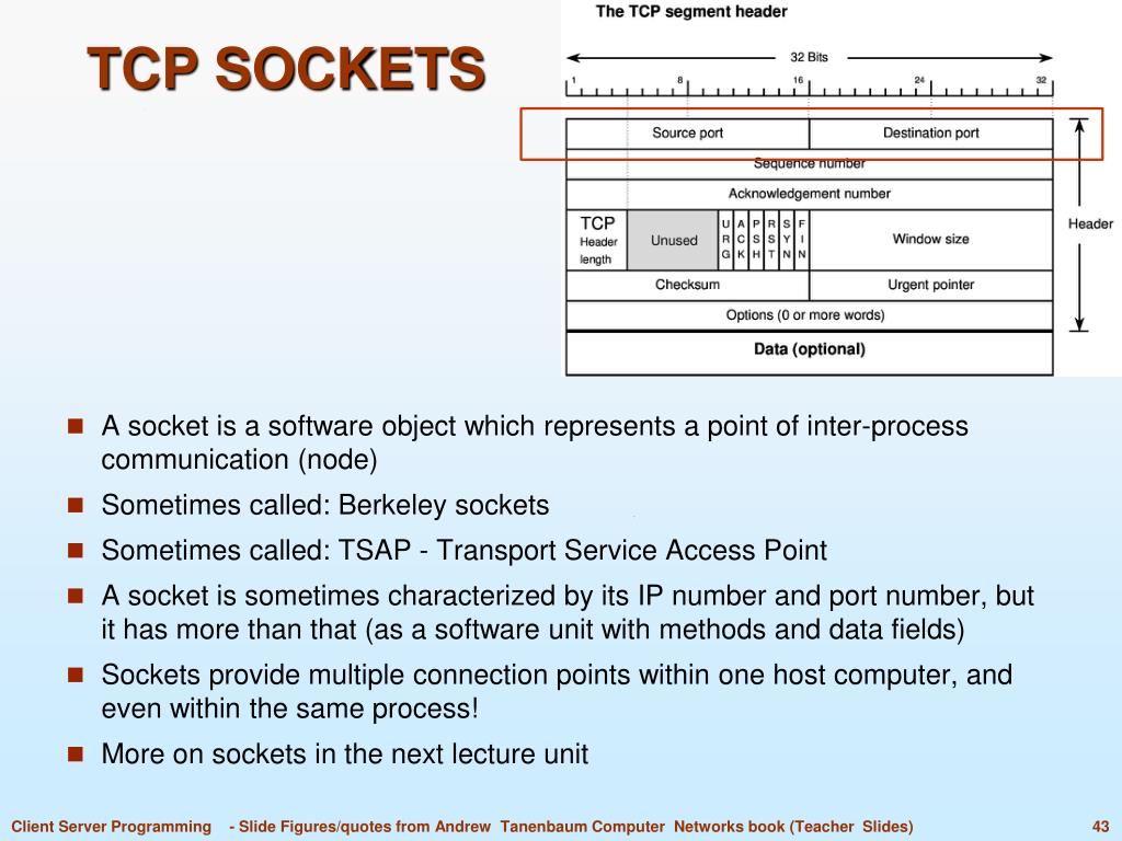 PPT - The TCP/IP Reference Model PowerPoint Presentation, free download ... PPT - The TCP/IP Reference Model PowerPoint Presentation, free download ...