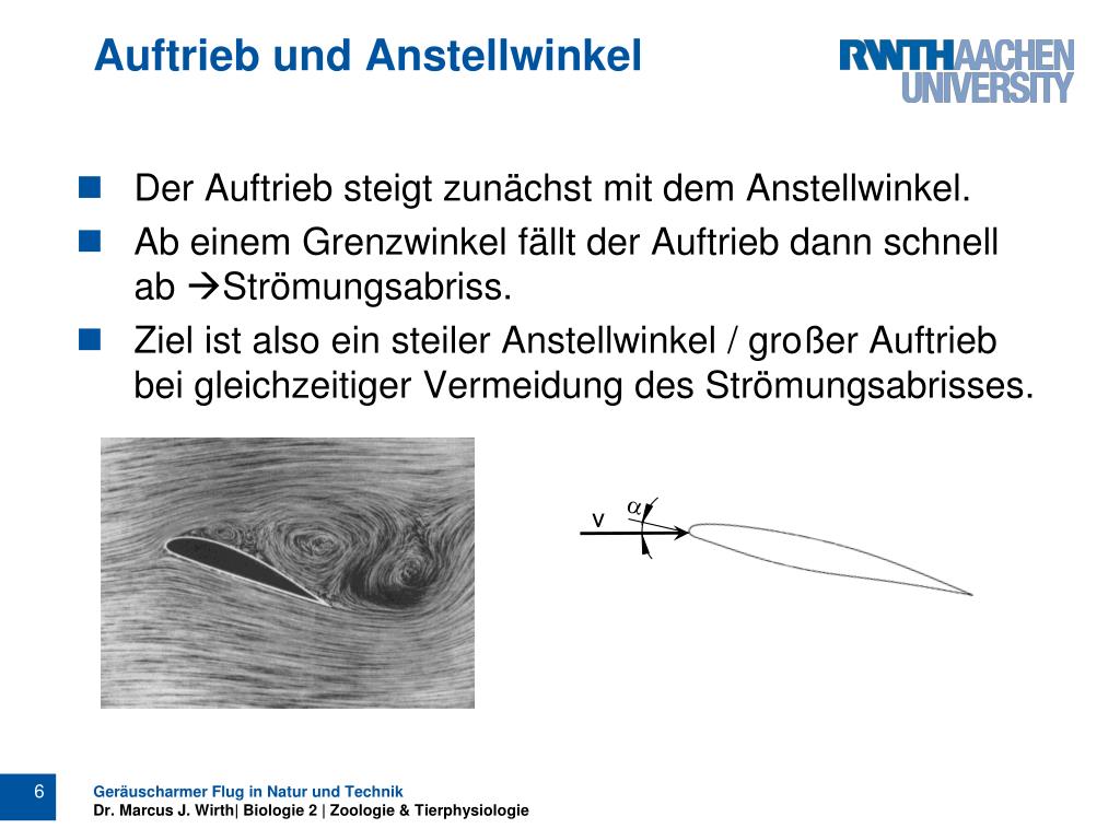 PPT - Geräuscharmer Flug in Natur und Technik PowerPoint Presentation ...