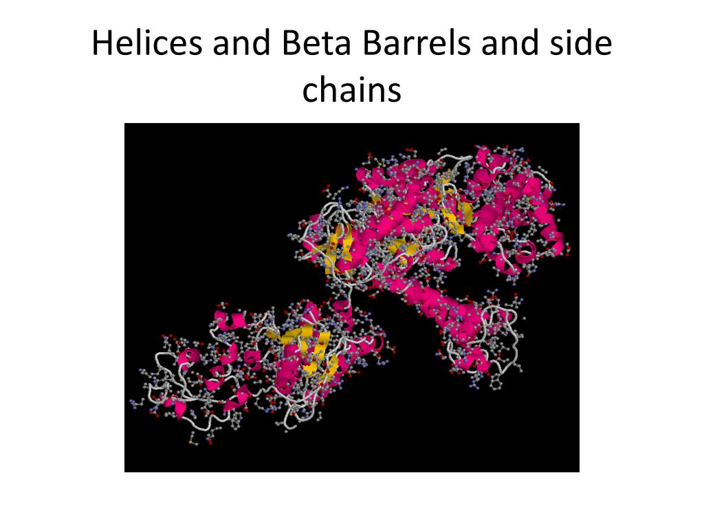 PPT - T hermus AQ uaticus DNA polymerase PowerPoint Presentation, free ...