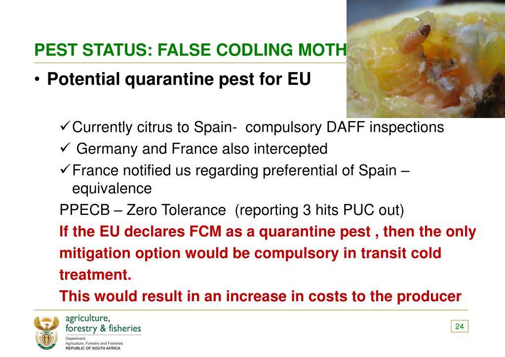 PPT - PPECB CITRUS PRE-SEASON WORKSHOP 2013 PHYTOSANITARY RISK ...