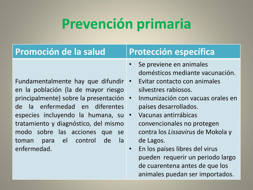PPT - HISTORIA NATURAL DE LA RABIA PowerPoint Presentation, free ...