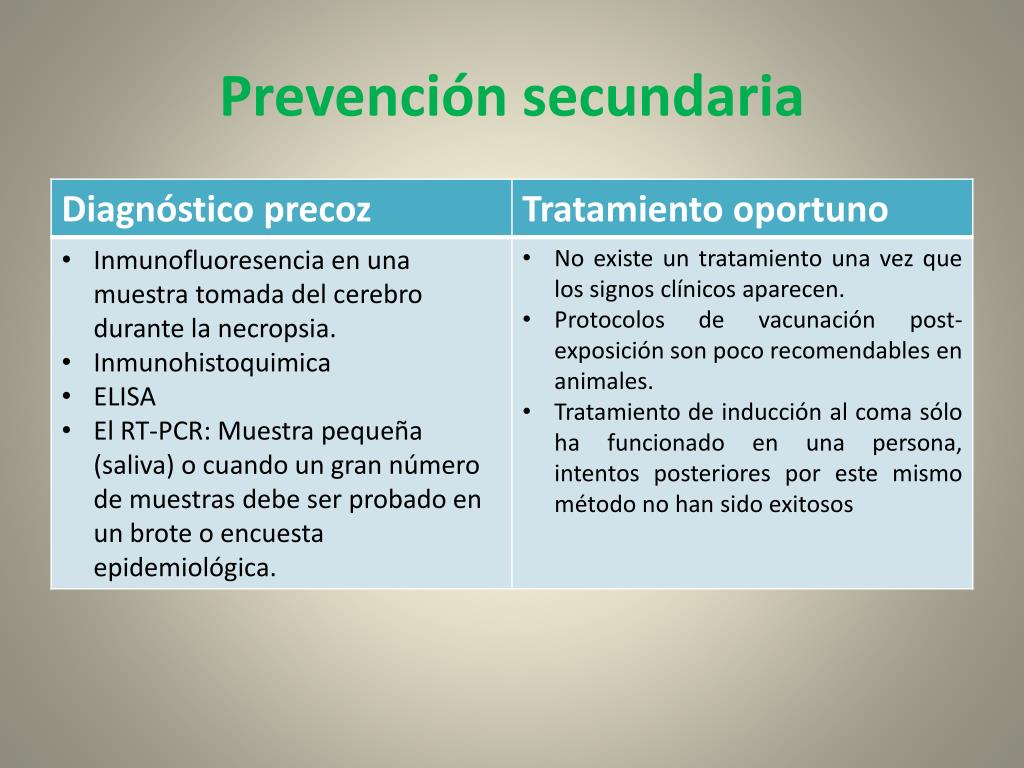 PPT - HISTORIA NATURAL DE LA RABIA PowerPoint Presentation, free ...