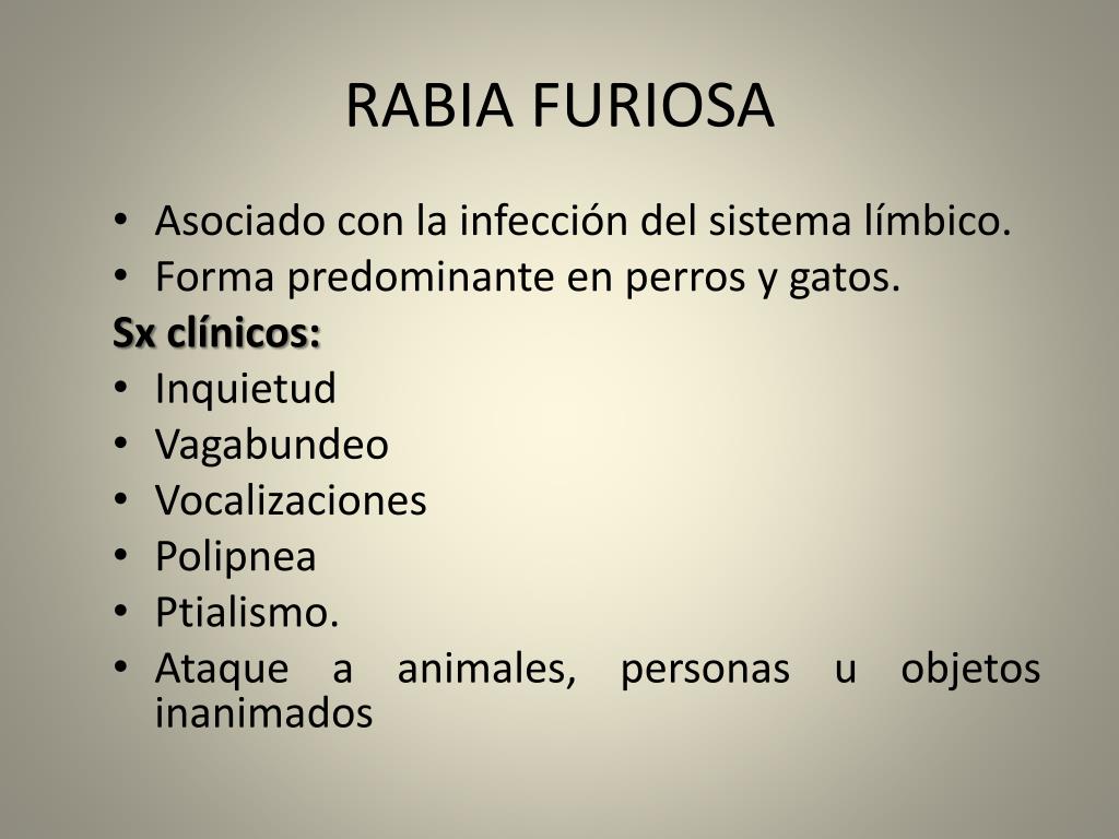 PPT - HISTORIA NATURAL DE LA RABIA PowerPoint Presentation, free download - ID:2394700
