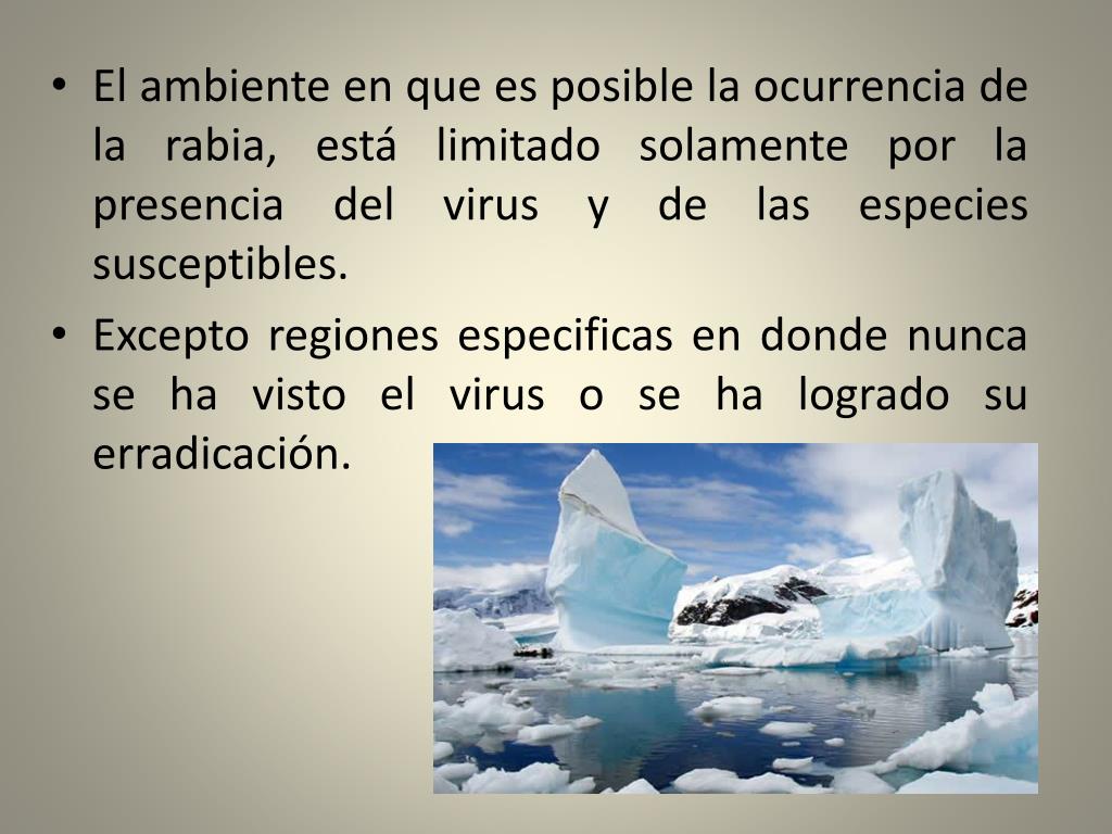 PPT - HISTORIA NATURAL DE LA RABIA PowerPoint Presentation, free ...