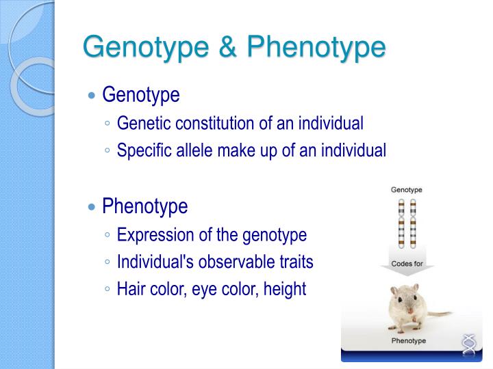 PPT - Online Mendelian Inheritance in Man (OMIM): What it is & What it ...
