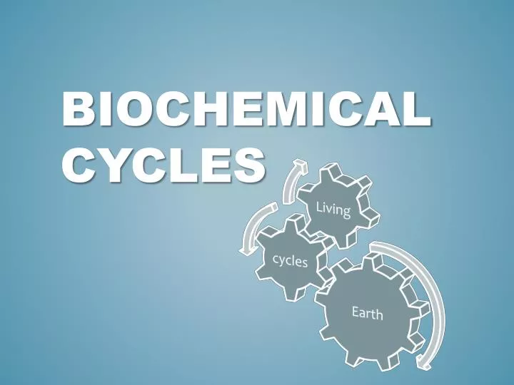 PPT - BioChemical Cycles PowerPoint Presentation, free download - ID ...