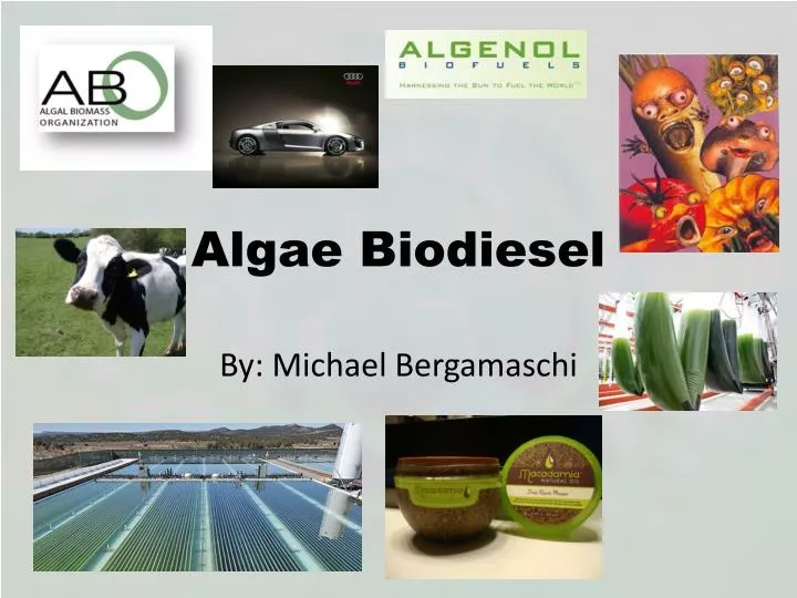 PPT - Algae Biodiesel PowerPoint Presentation, free download - ID:2395989