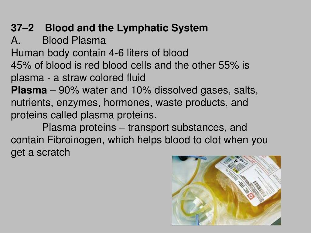 PPT - 37–2 Blood and the Lymphatic System A. Blood Plasma B. Blood ...
