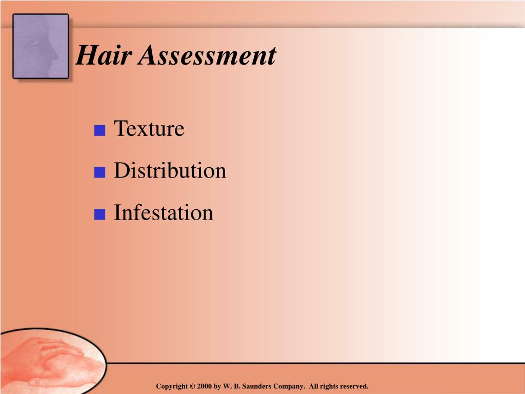PPT - Assessment Physical Examination of the Skin By Sharon Kerr MSN ...