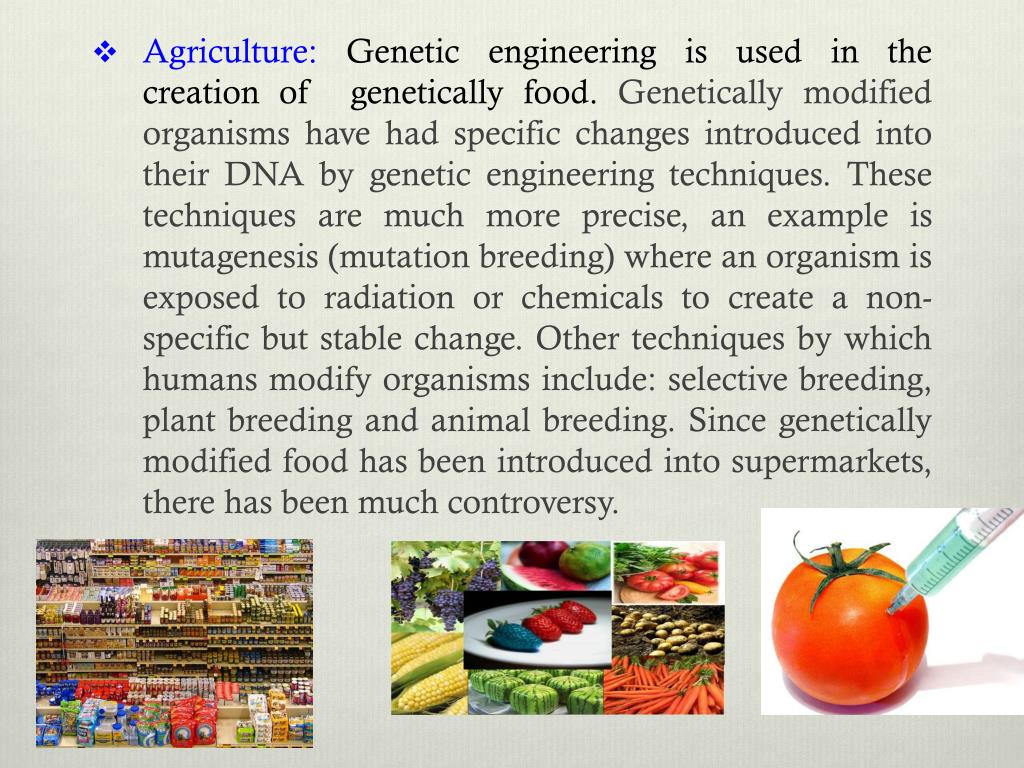 PPT - Biology Genetic Engineering Gel Electrophoresis PowerPoint ...