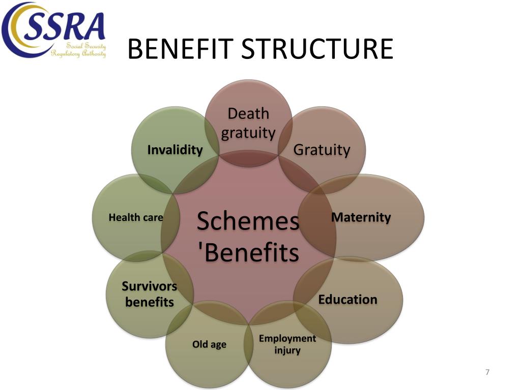 PPT - The protection measures which society provides for its members ...