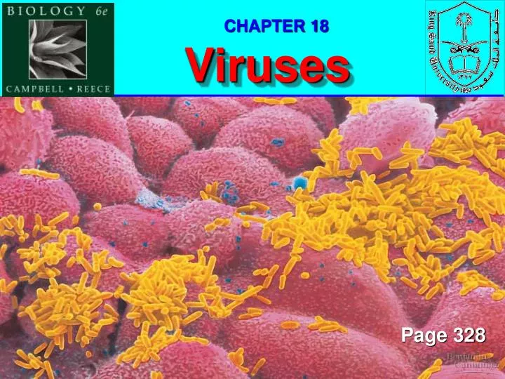 PPT - Viruses PowerPoint Presentation, free download - ID:2400086