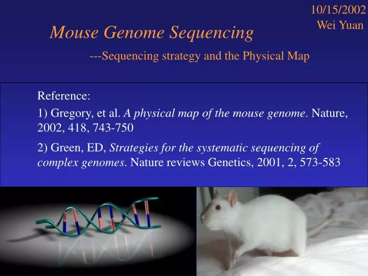 PPT - Mouse Genome Sequencing PowerPoint Presentation, free download ...