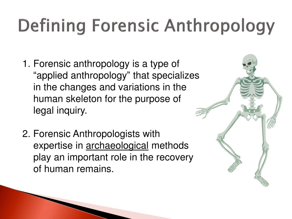 PPT - Forensic Archaeology / Anthropology Ch 8 – Pgs 99-117 PowerPoint ...