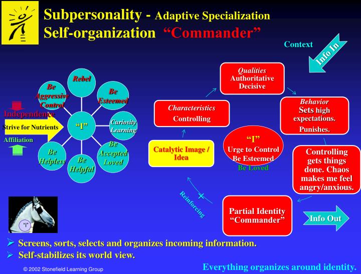 PPT - Psychosynthesis The Realization of the Self PowerPoint ...