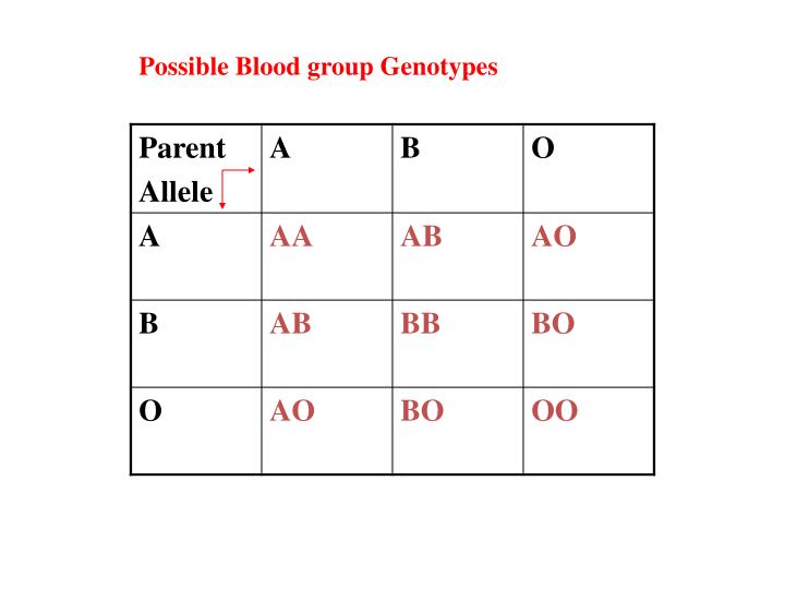 PPT - Genetics of ABO Blood groups and Rhesus factor PowerPoint ...