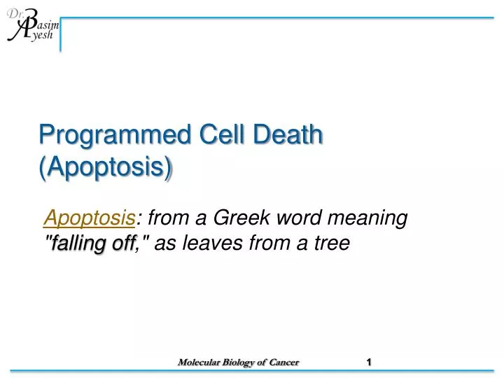 PPT - Programmed Cell Death (Apoptosis) PowerPoint Presentation, free ...