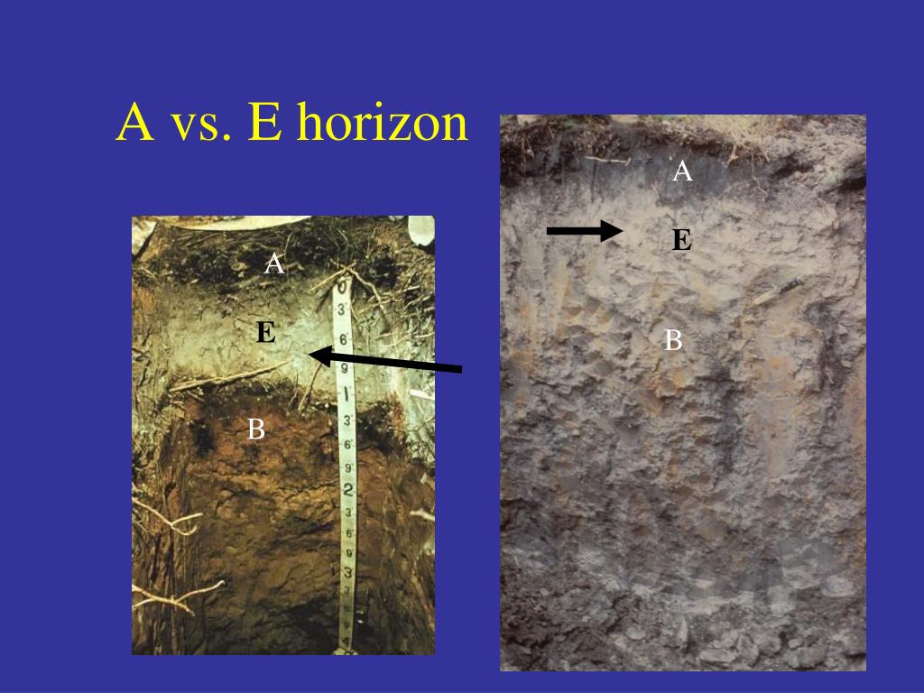 PPT - Basic Soil Science W. Lee Daniels wdaniels@vt ; 540-231-7175 ...