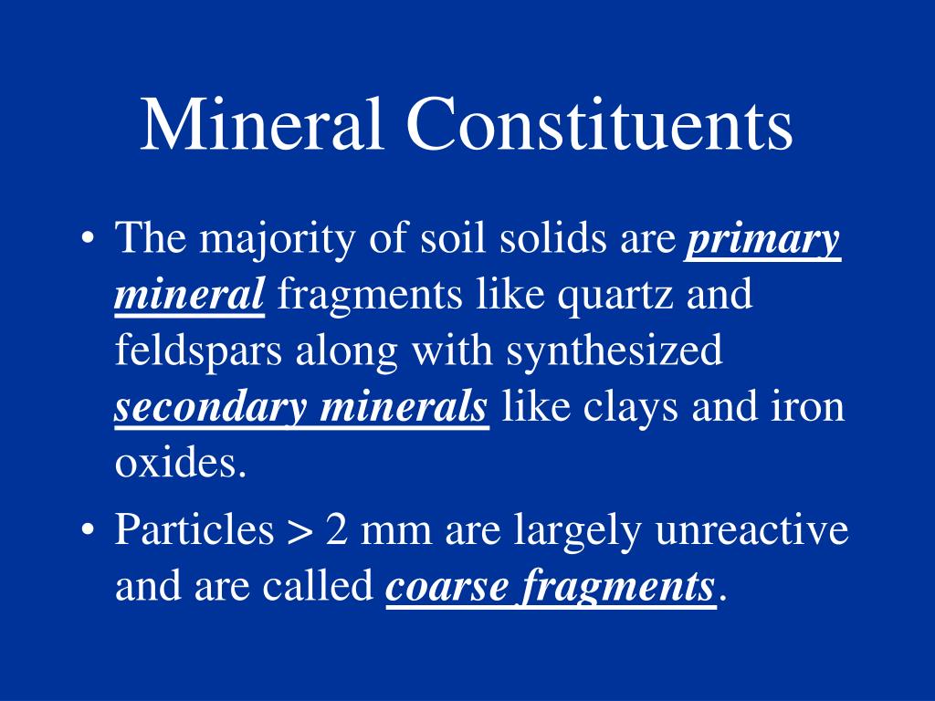 PPT - Basic Soil Science W. Lee Daniels wdaniels@vt ; 540-231-7175 ...