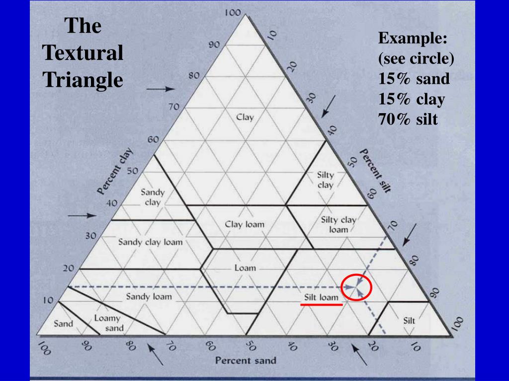 PPT - Basic Soil Science W. Lee Daniels wdaniels@vt ; 540-231-7175 ...