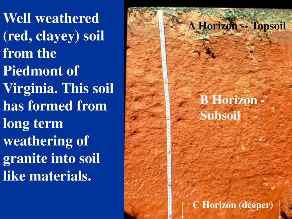 PPT - Basic Soil Science W. Lee Daniels wdaniels@vt ; 540-231-7175 ...