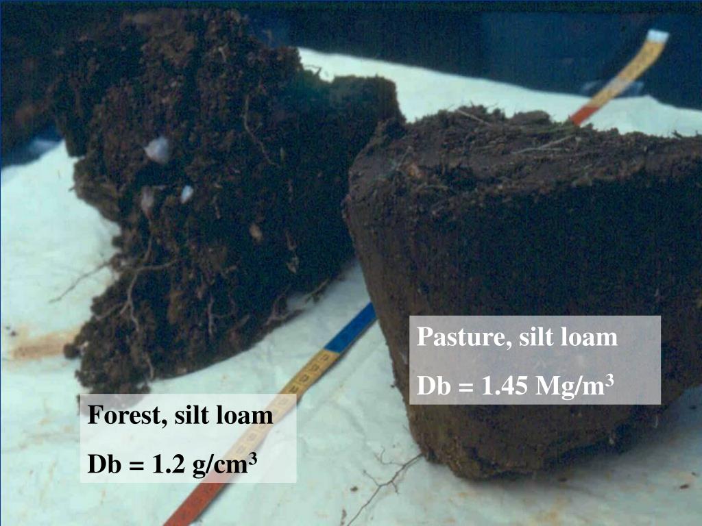 PPT - Basic Soil Science W. Lee Daniels wdaniels@vt ; 540-231-7175 ...