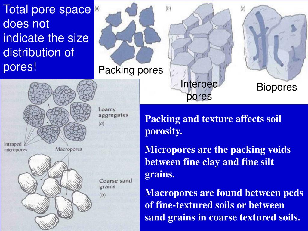 PPT - Basic Soil Science W. Lee Daniels wdaniels@vt ; 540-231-7175 ...