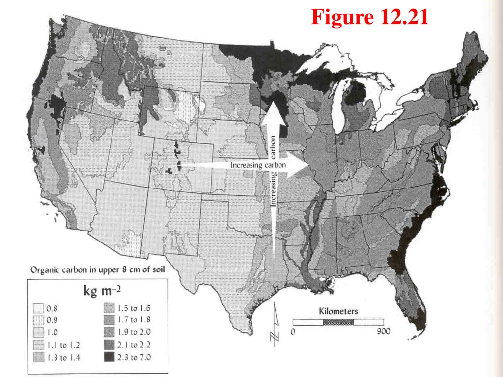 PPT - Basic Soil Science W. Lee Daniels wdaniels@vt ; 540-231-7175 ...