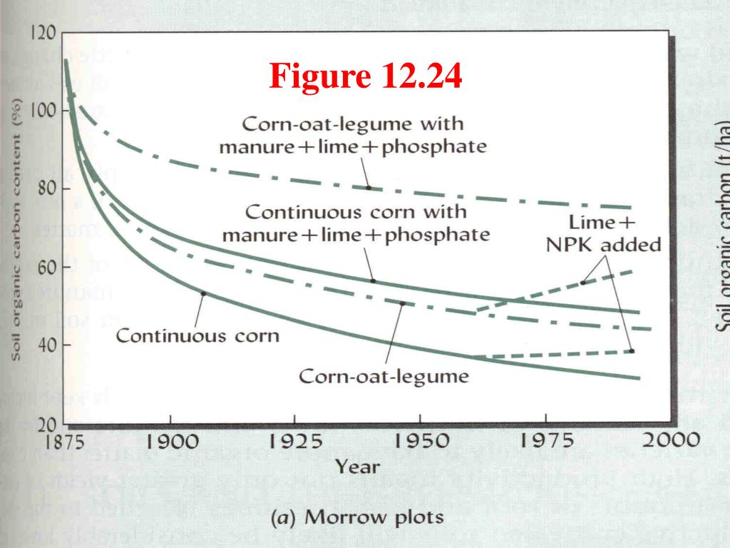 PPT - Basic Soil Science W. Lee Daniels wdaniels@vt ; 540-231-7175 ...
