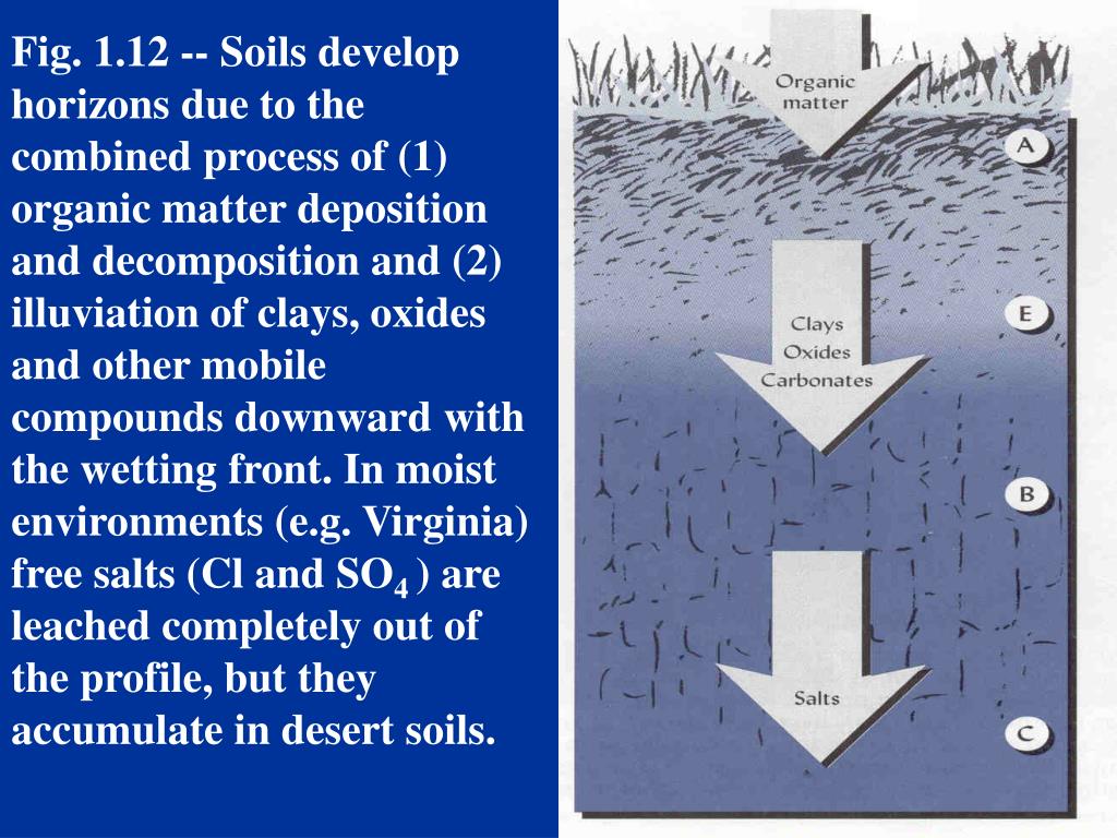PPT - Basic Soil Science W. Lee Daniels wdaniels@vt ; 540-231-7175 ...