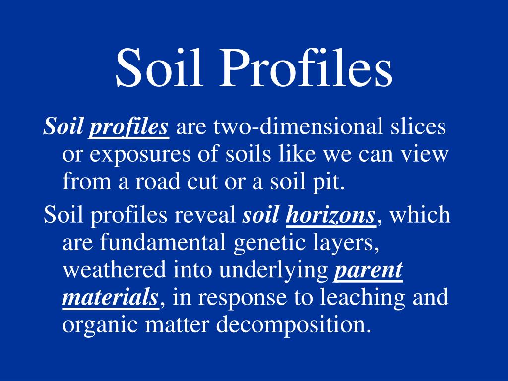 PPT - Basic Soil Science W. Lee Daniels wdaniels@vt ; 540-231-7175 ...