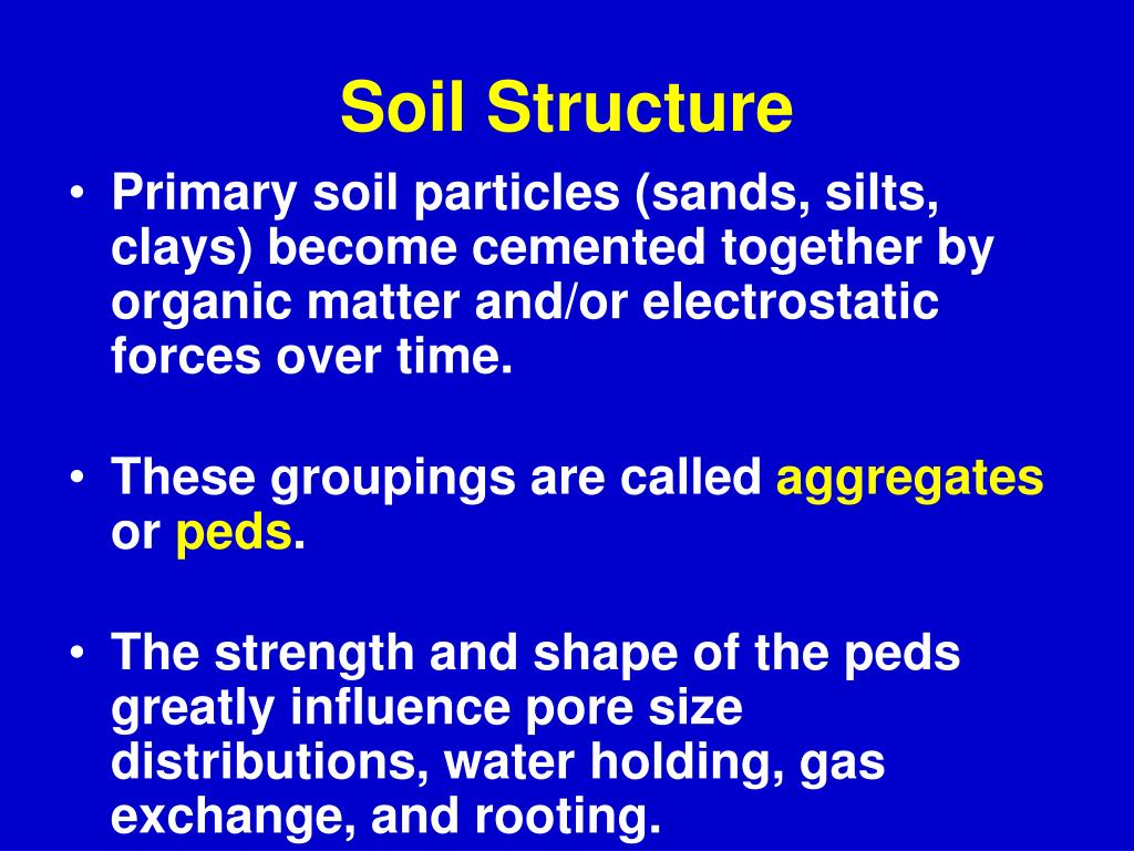 PPT - Basic Soil Science W. Lee Daniels wdaniels@vt ; 540-231-7175 ...