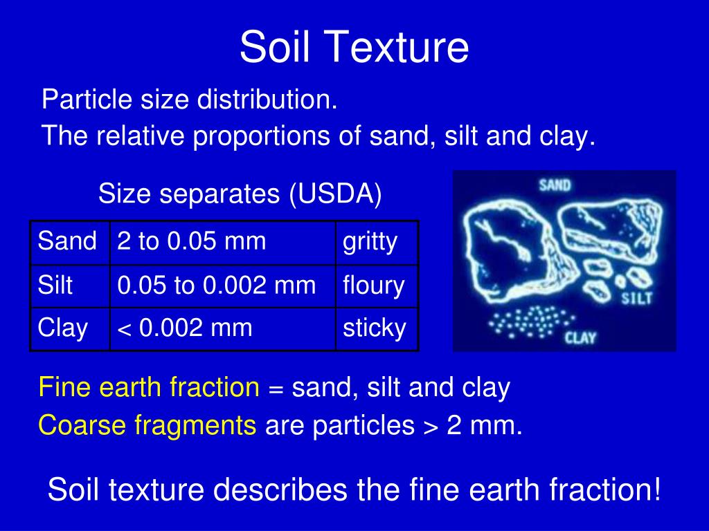 PPT - Basic Soil Science W. Lee Daniels wdaniels@vt ; 540-231-7175 ...