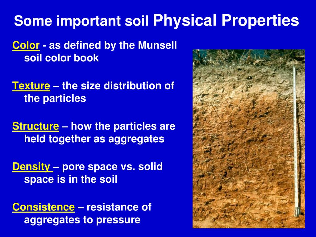 PPT - Basic Soil Science W. Lee Daniels wdaniels@vt ; 540-231-7175 ...