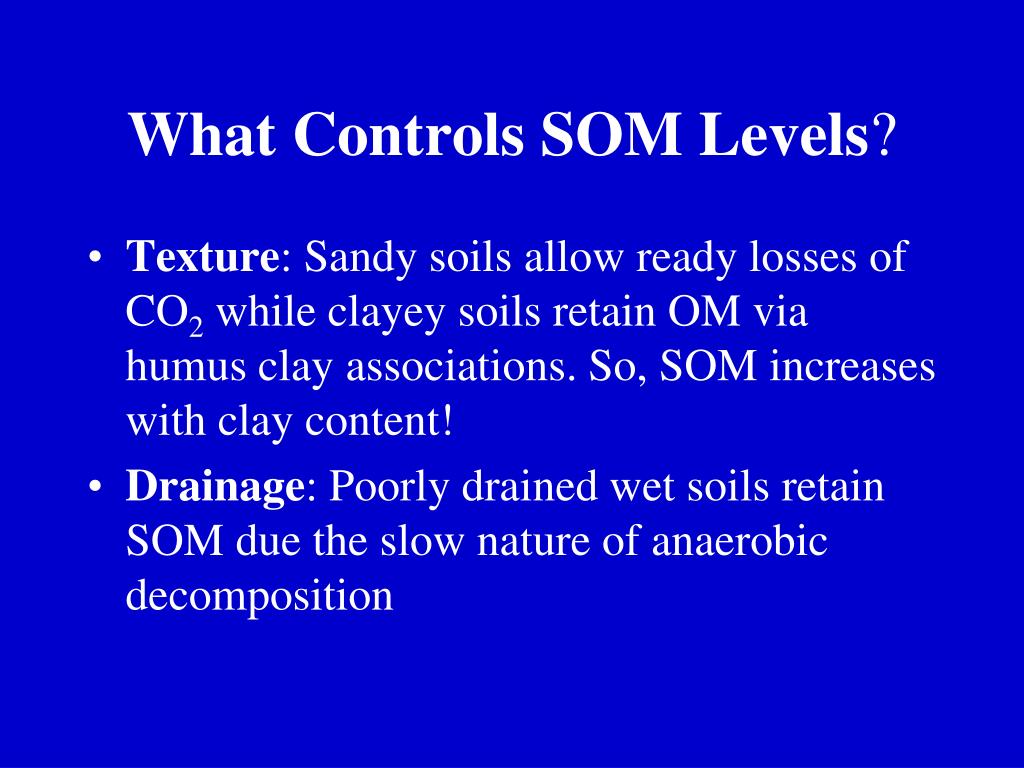 PPT - Basic Soil Science W. Lee Daniels wdaniels@vt ; 540-231-7175 ...