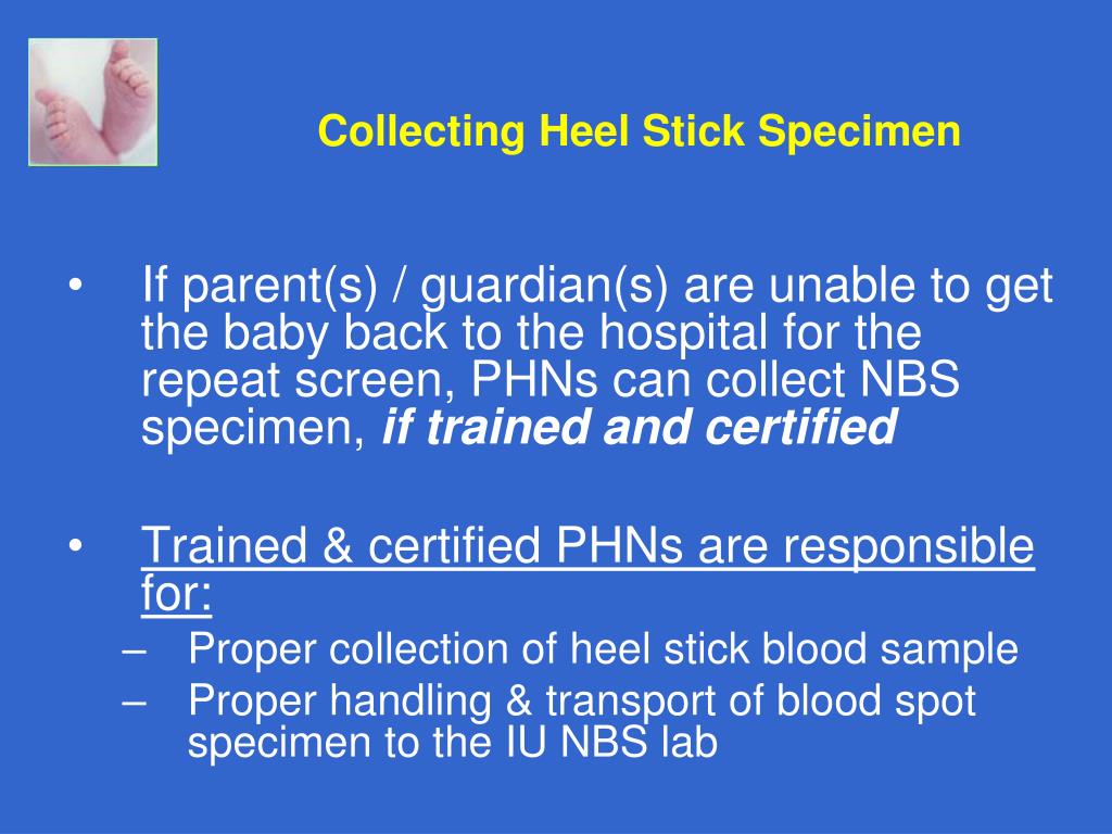 PPT - Public Health Nurse Training PowerPoint Presentation, free ...