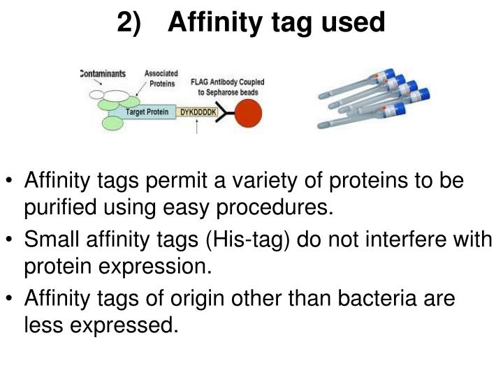 PPT - Heterologous expression PowerPoint Presentation - ID:2402842