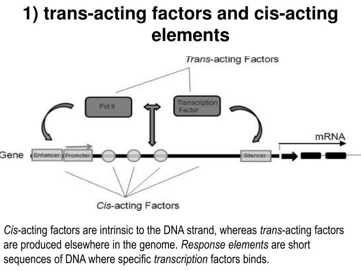 PPT - Heterologous expression PowerPoint Presentation - ID:2402842