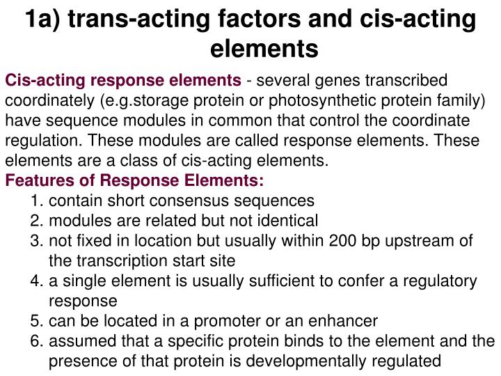 PPT - Heterologous expression PowerPoint Presentation - ID:2402842