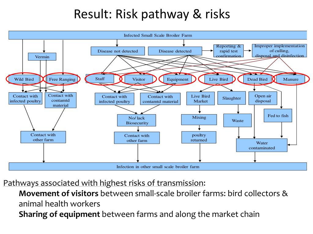 PPT - Risk Management (II) A country perspective and case study - HPAI ...